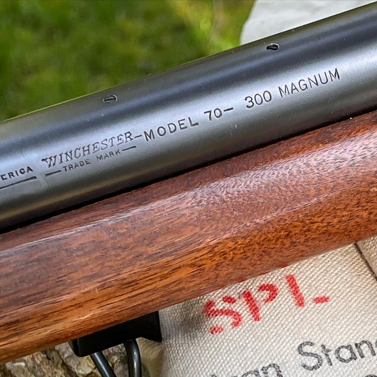 Model 70 Bull Gun .300 Magnum – Scattered Shots