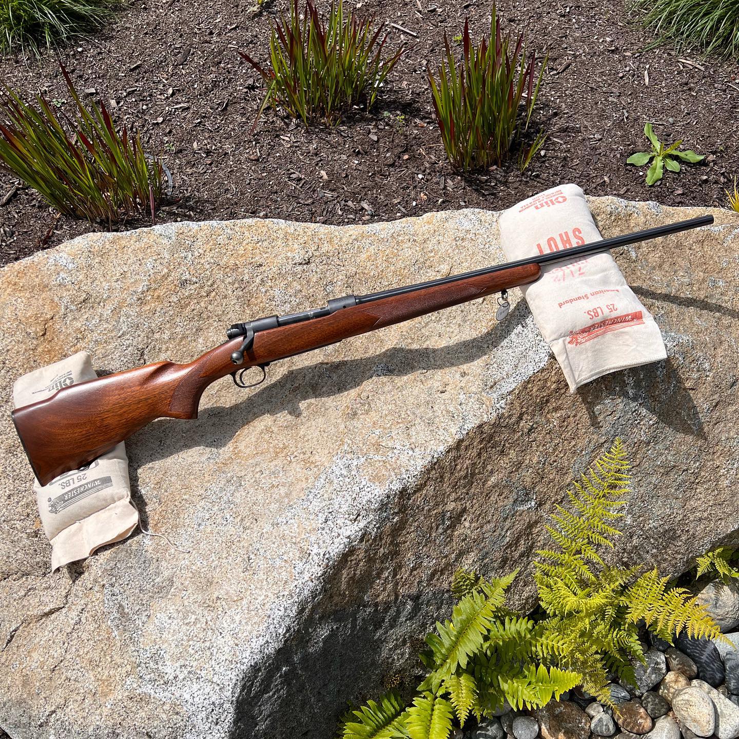 Gopher Shooter’s Supply Model 70s – Scattered Shots