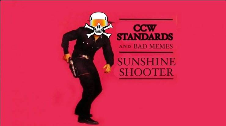 Pro-Gun Millennial Standards: CCW Standard – Scattered Shots