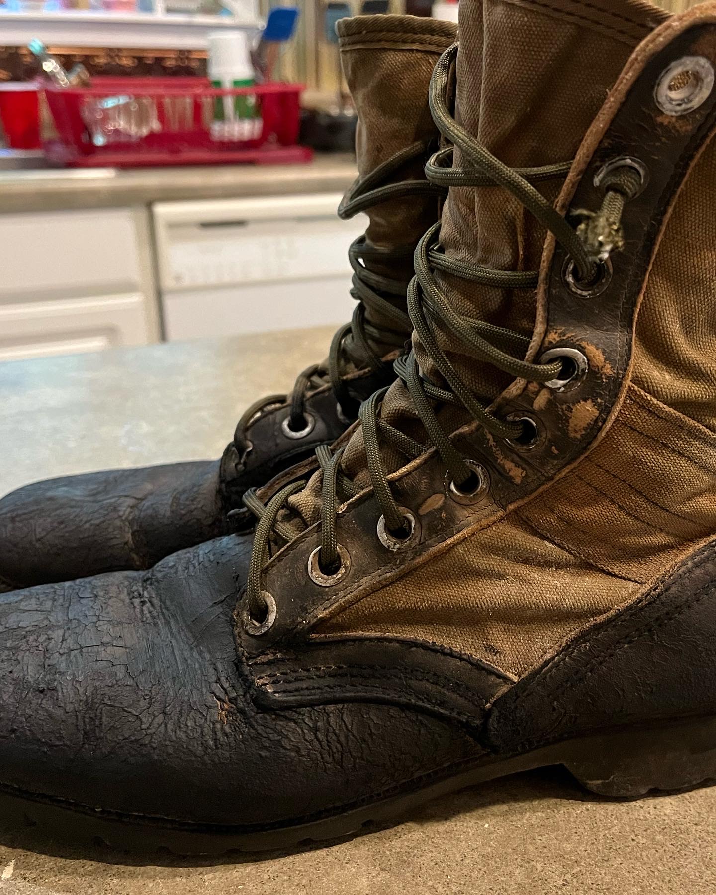 Precision Shooting Magazine – Scattered Shots